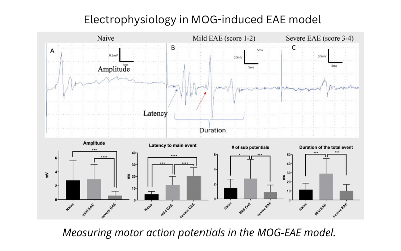 EAE Multiple Sclerosis Research